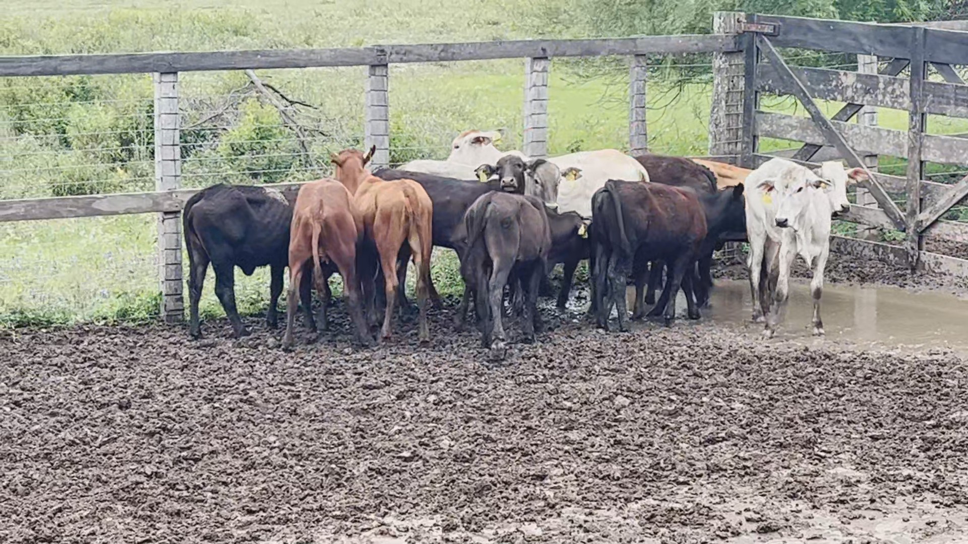 El Corral